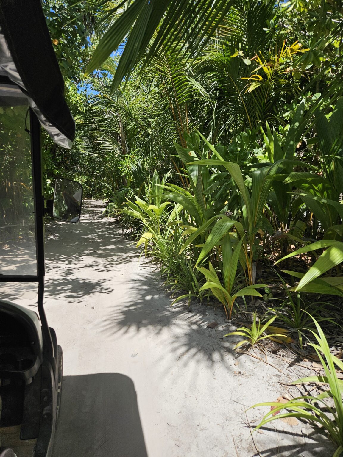 Park Hyatt Maldives Beach Pool Villa Review